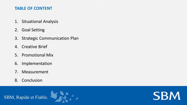 SBM - Communication Strategy | PDF
