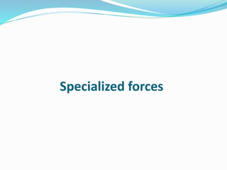 Bangladesh Armed Forces | PDF