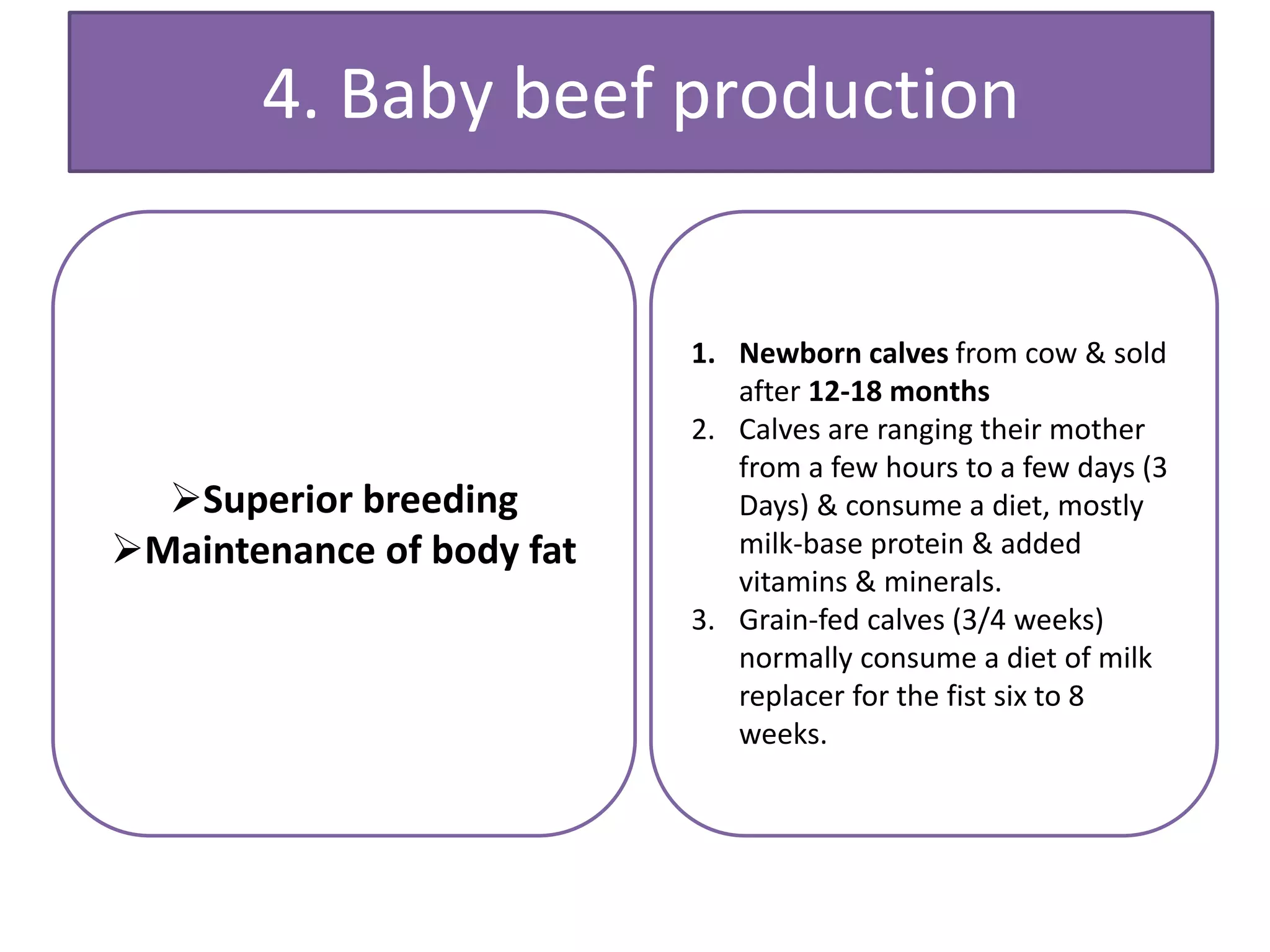 Beef production system | PPTX