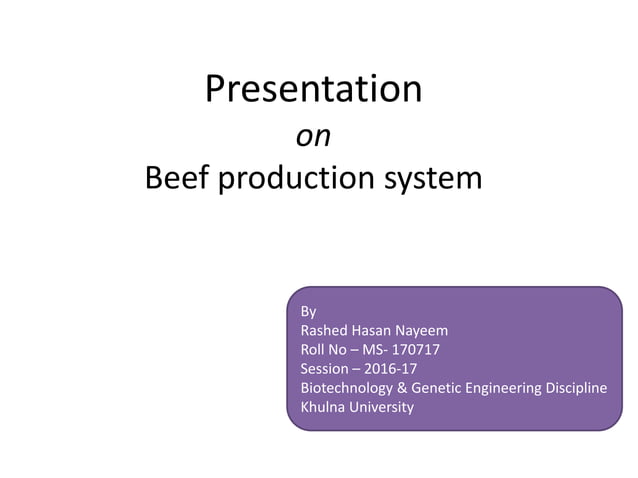 Beef production system | PPTX