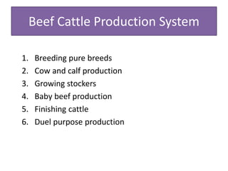 Beef production system | PPTX