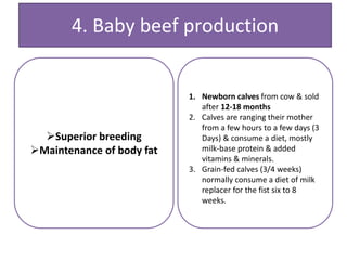Beef production system | PPTX