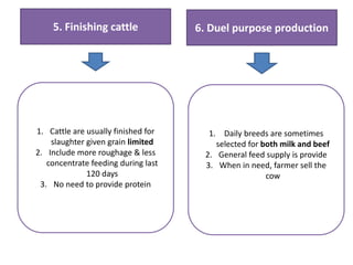 Beef production system | PPTX