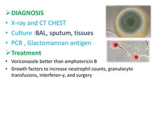 Principles of Fungal Diagnosis and Treatment | PPTX