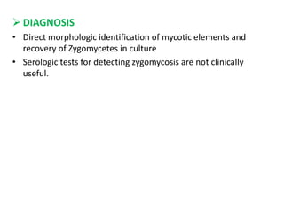 Principles of Fungal Diagnosis and Treatment | PPTX