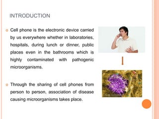 association of microbes to the cell phone devices taken as a sample in ...
