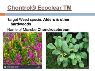 Biological herbicides and its types with available bio hebicides | PPTX