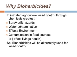 Biological herbicides and its types with available bio hebicides | PPTX