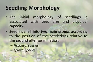 Seedling functional type | PPT