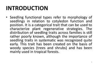 Seedling functional type | PPT