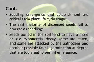 Seedling functional type | PPT