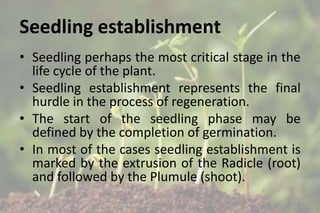 Seedling functional type | PPT