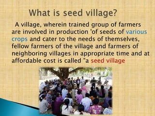 Development and management of seed programme -seed village concept | PPTX