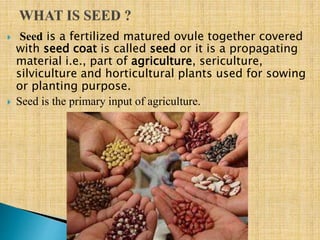 Development and management of seed programme -seed village concept | PPTX