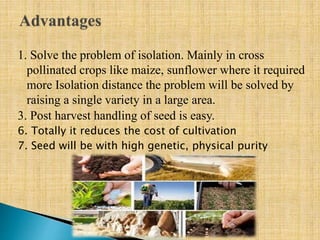 Development and management of seed programme -seed village concept | PPTX