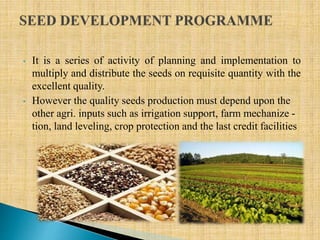 Development and management of seed programme -seed village concept | PPTX