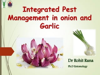 Integrated pest management in onion and garlic | PPTX