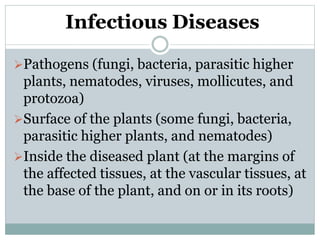newmicrosoftofficepowerpointpresentation-181025093957.pdf