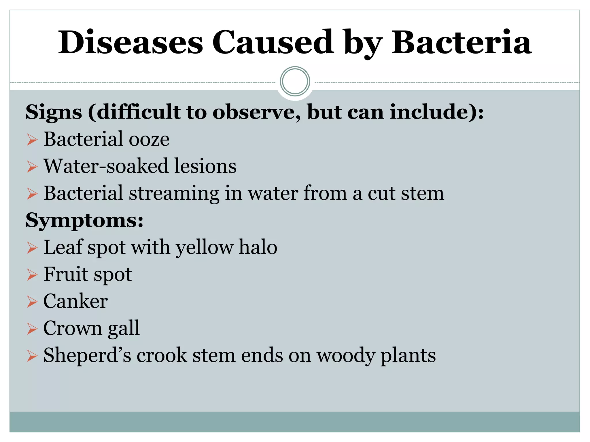 Procedures in the diagnosis of plants diseases | PPTX