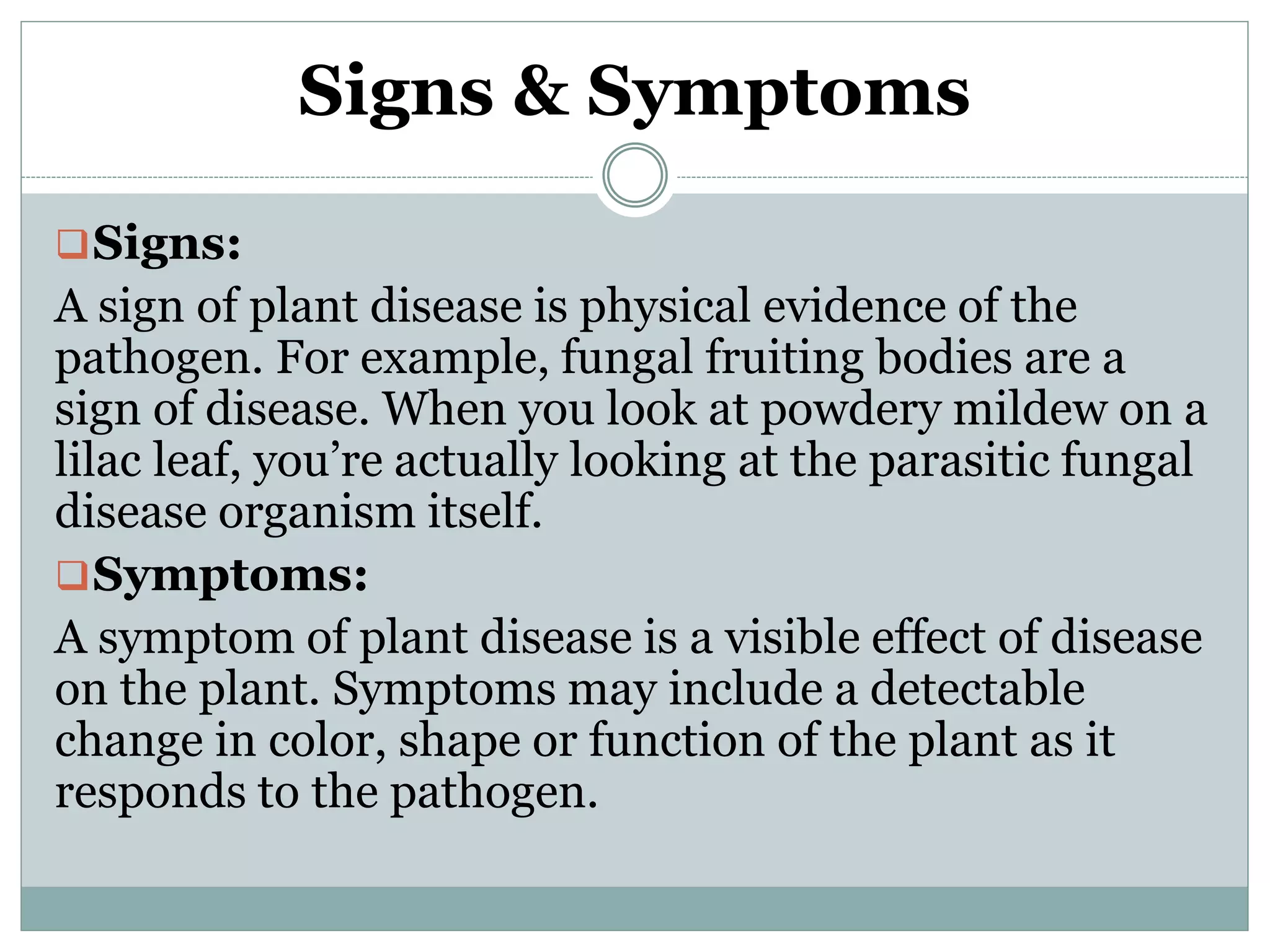 Procedures in the diagnosis of plants diseases | PPTX