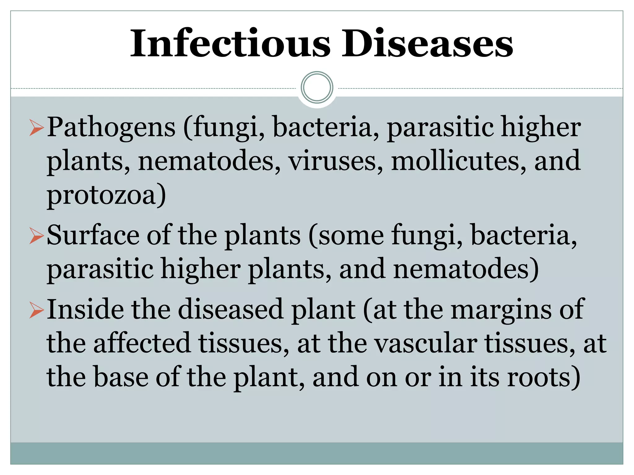 Procedures in the diagnosis of plants diseases | PPTX