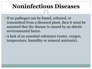 Procedures in the diagnosis of plants diseases | PPTX