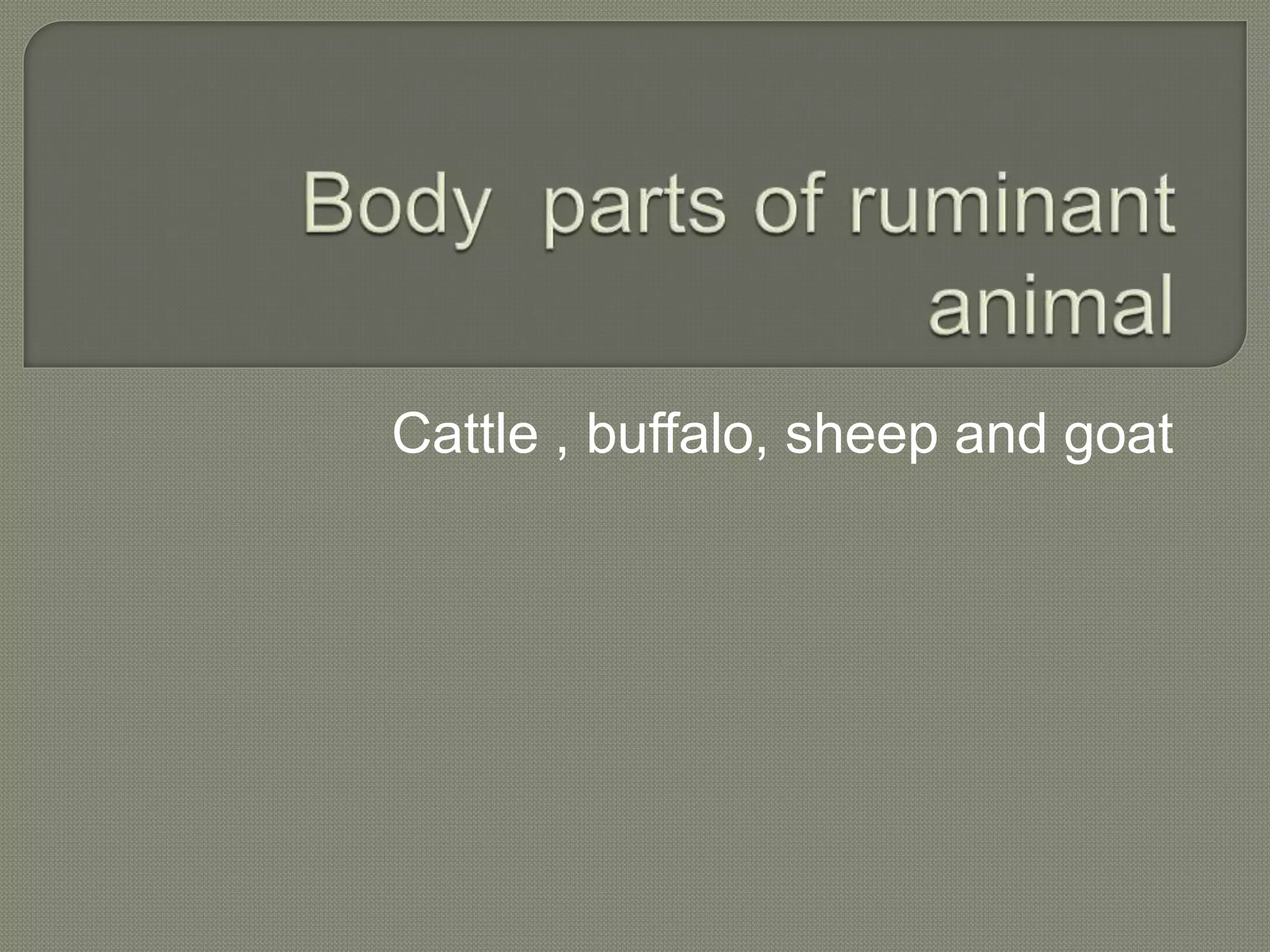 different animal body parts by dr jigar patel | PPTX