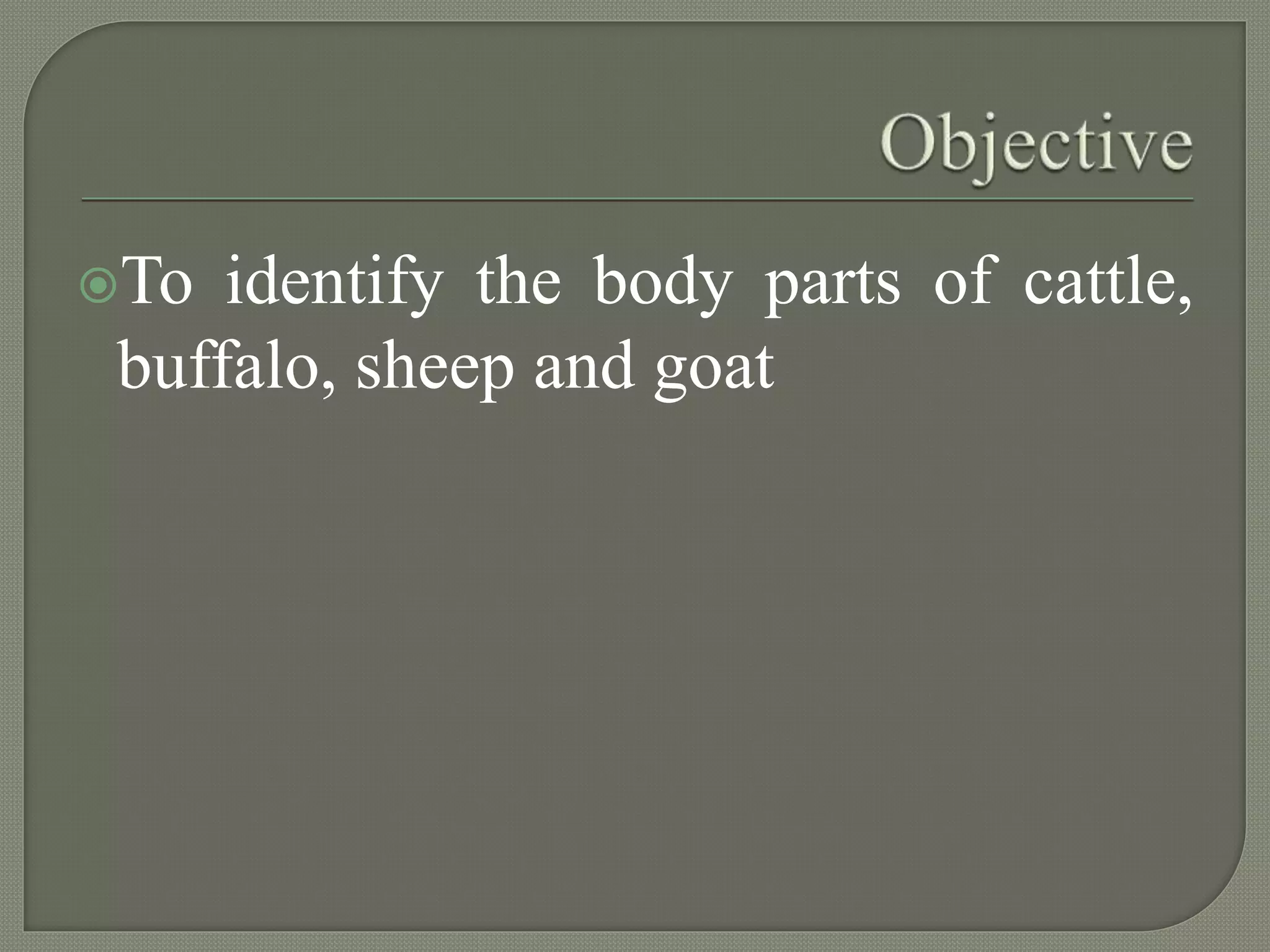 different animal body parts by dr jigar patel | PPTX