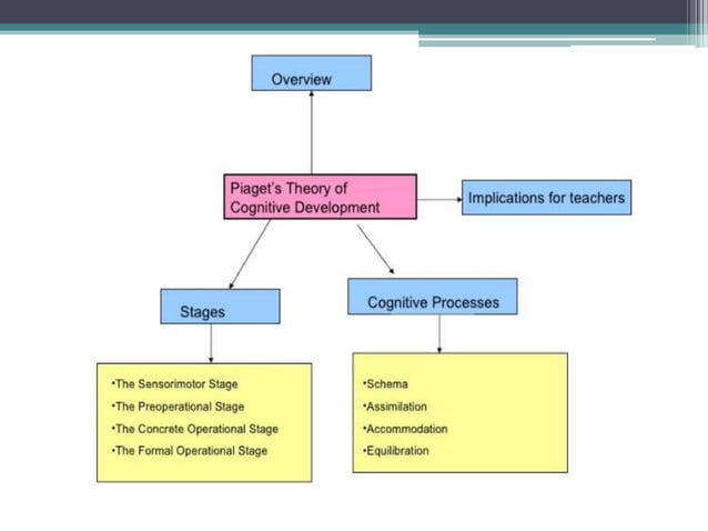 Jean Piaget's theory of cognitive development