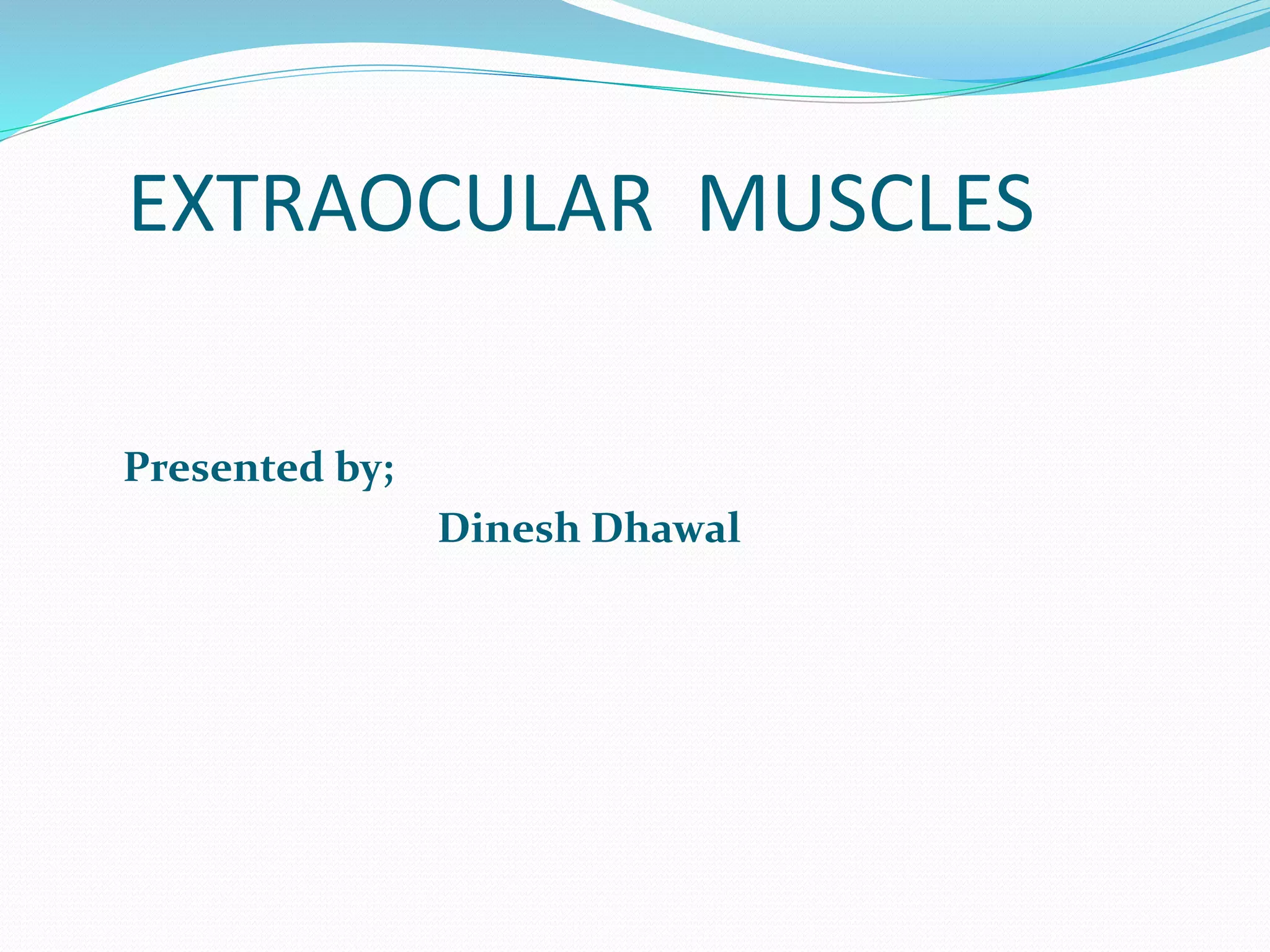Extraocular muscles | PPT