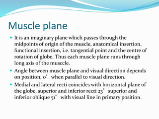Extraocular muscles | PPTX