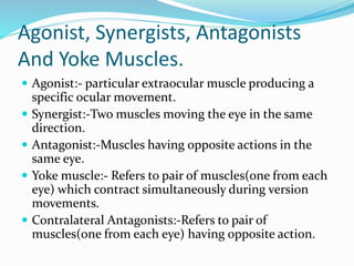 Extraocular muscles | PPTX