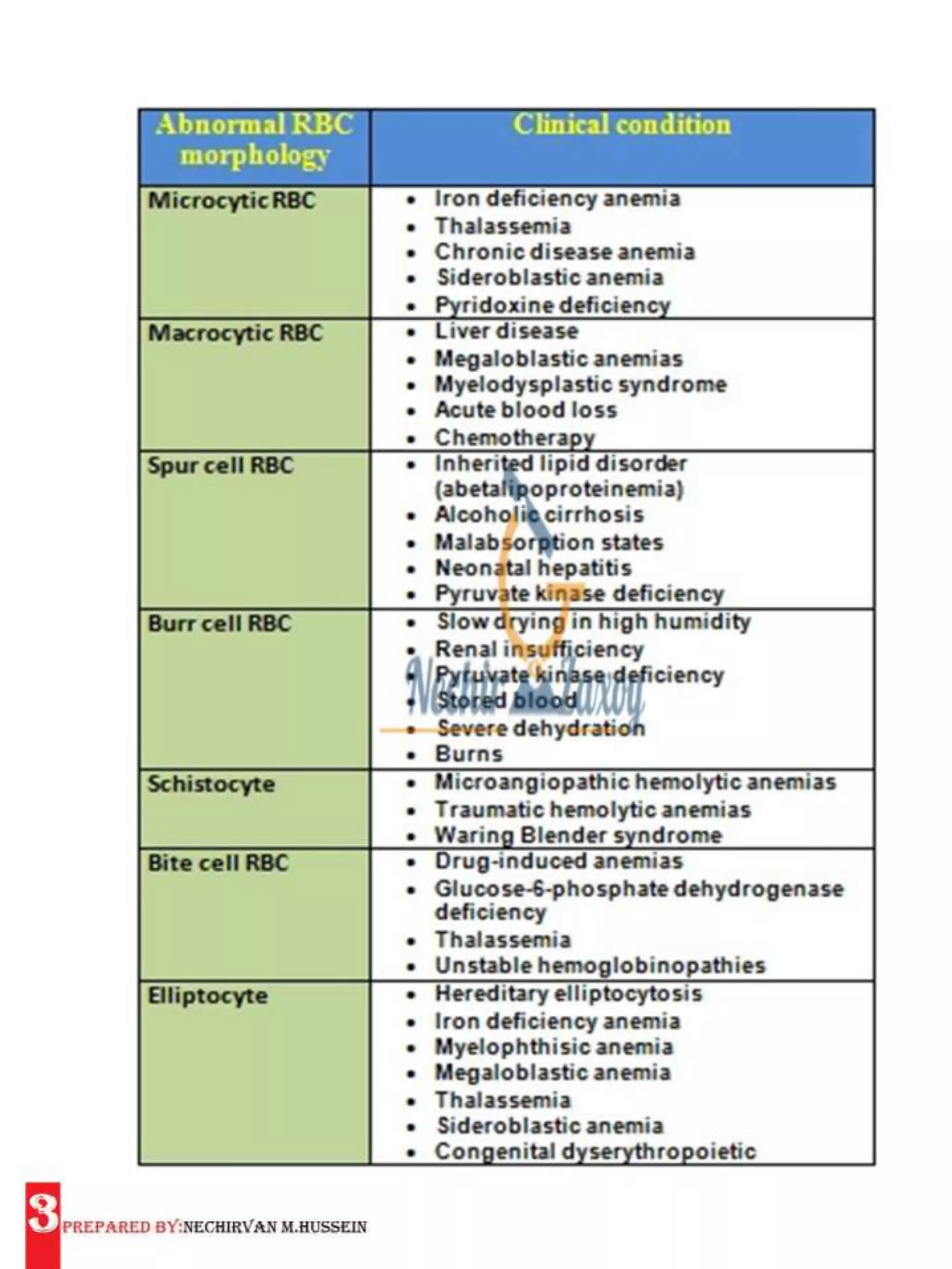 abnormal rbc morphology | PPTX