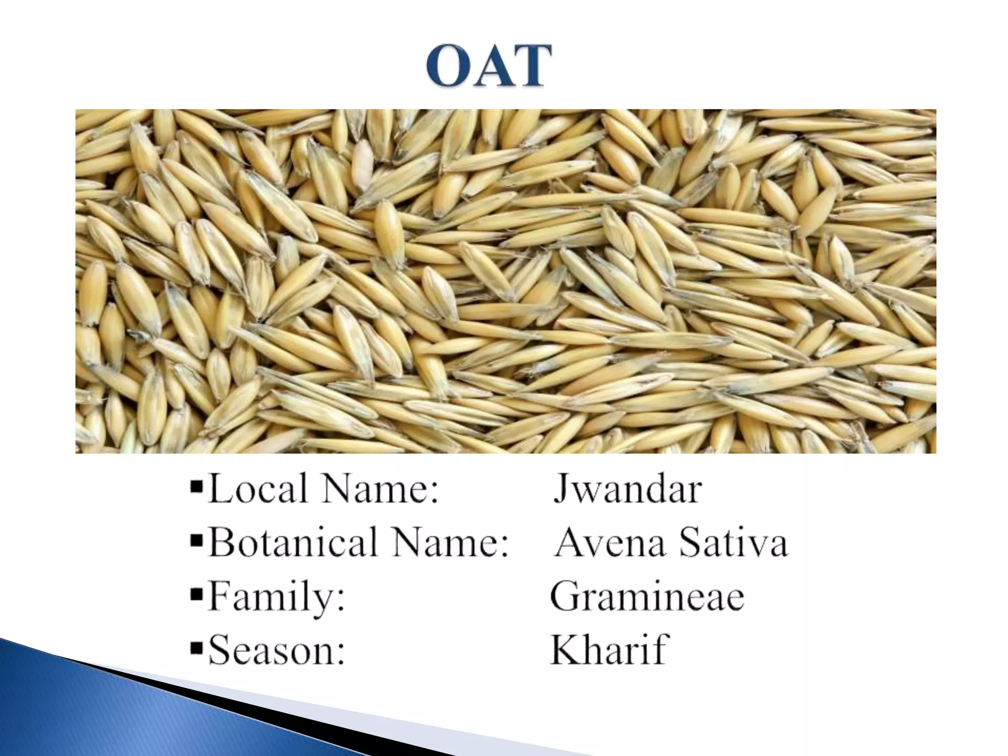 OAT | PPTX