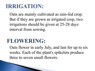 OAT | PPTX