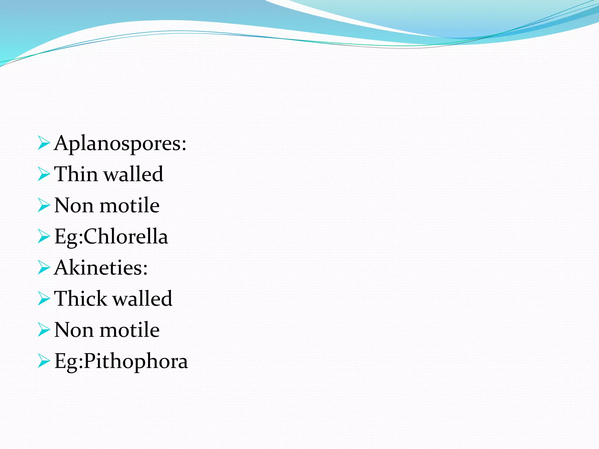 phycology-algal classification, thallus organization, reproduction | PPTX