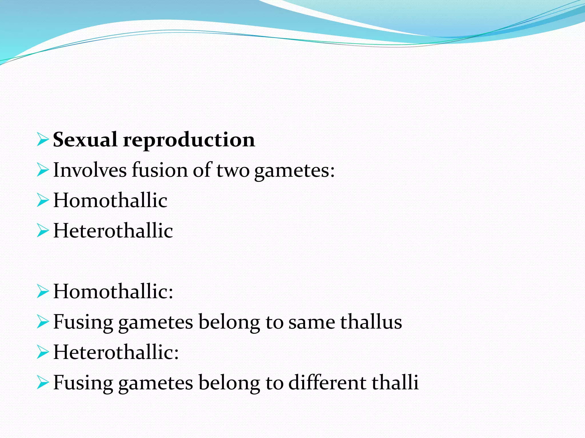 phycology-algal classification, thallus organization, reproduction | PPTX