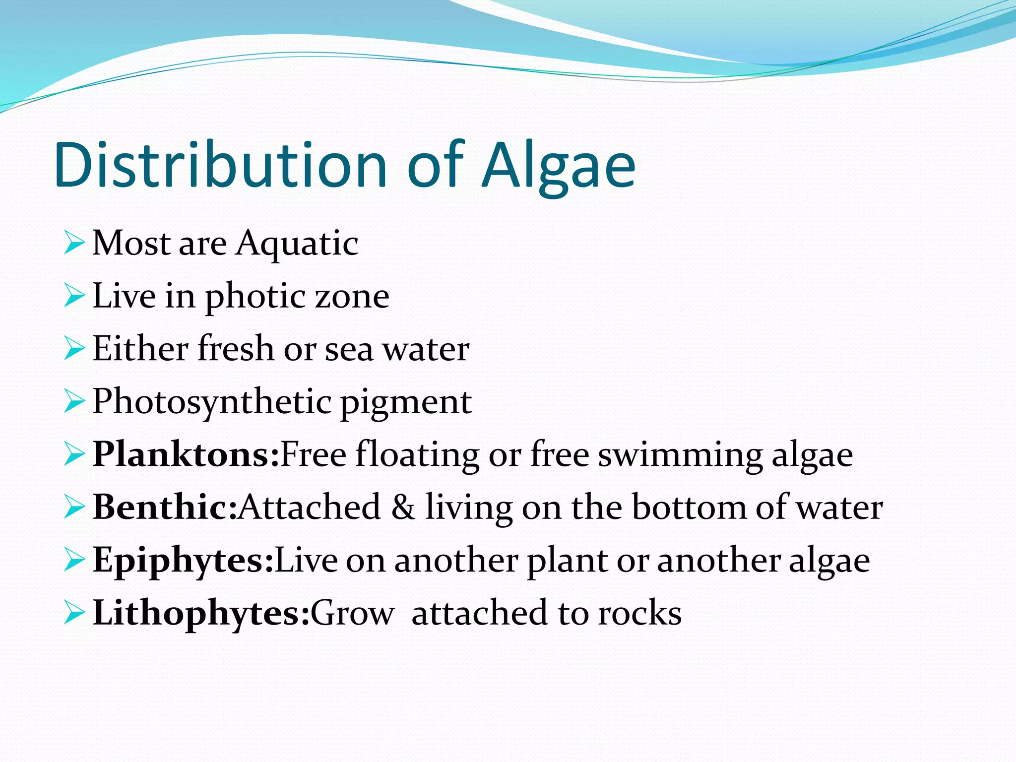 phycology-algal classification, thallus organization, reproduction | PPTX