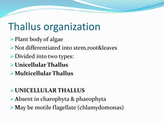 phycology-algal classification, thallus organization, reproduction | PPTX