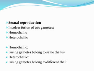 phycology-algal classification, thallus organization, reproduction | PPTX