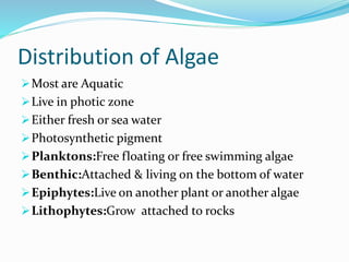 phycology-algal classification, thallus organization, reproduction | PPTX