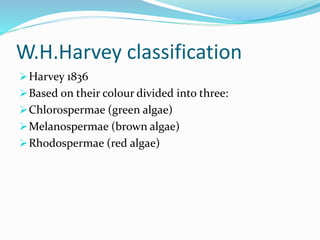 phycology-algal classification, thallus organization, reproduction | PPTX