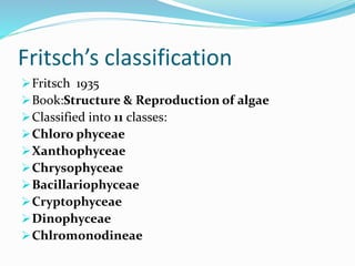 phycology-algal classification, thallus organization, reproduction | PPT