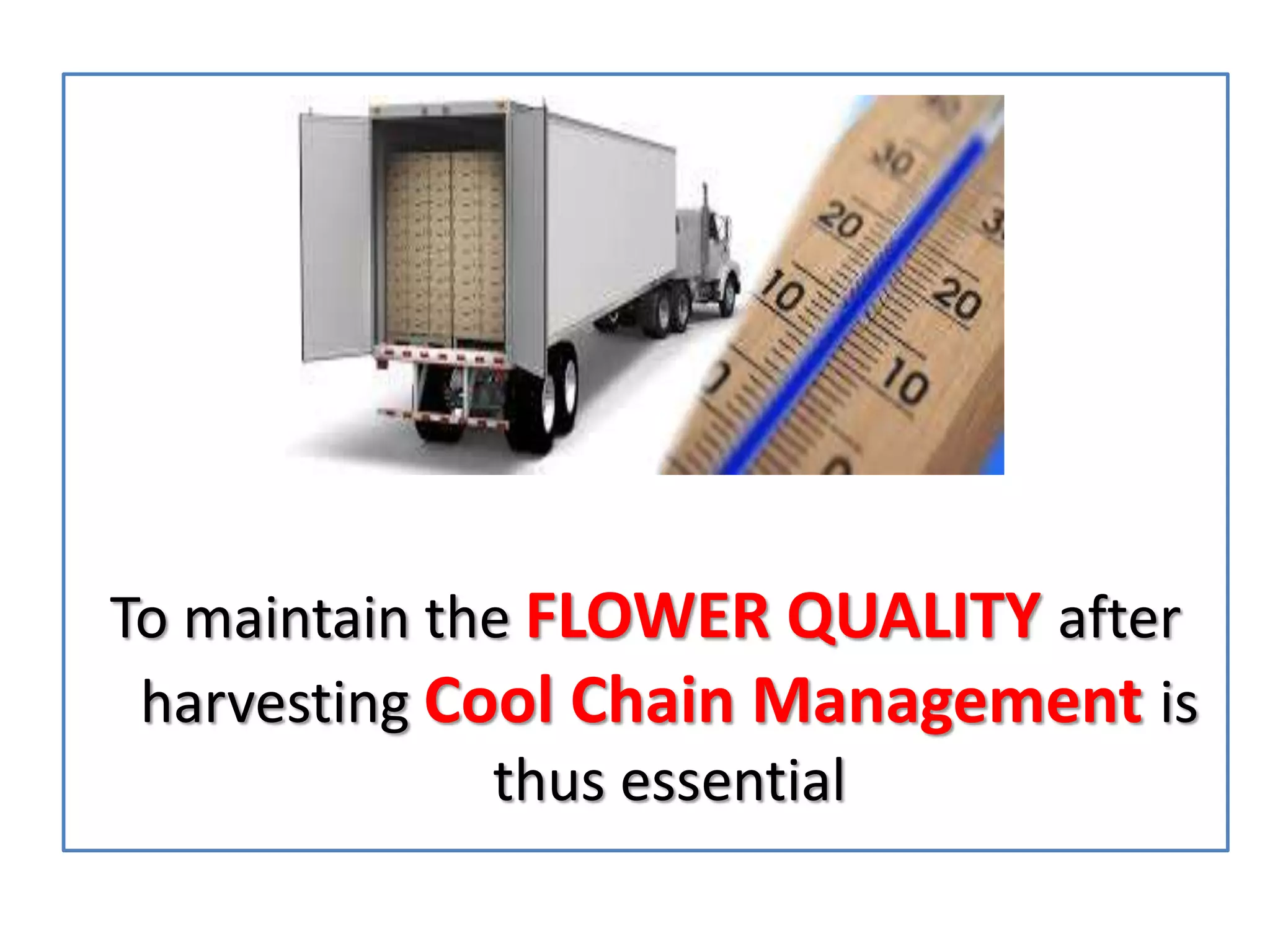 post harvest management of cut flower , cut flower ,harvest management ...