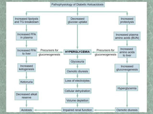 Diabetic Ketoacidosis | PPT