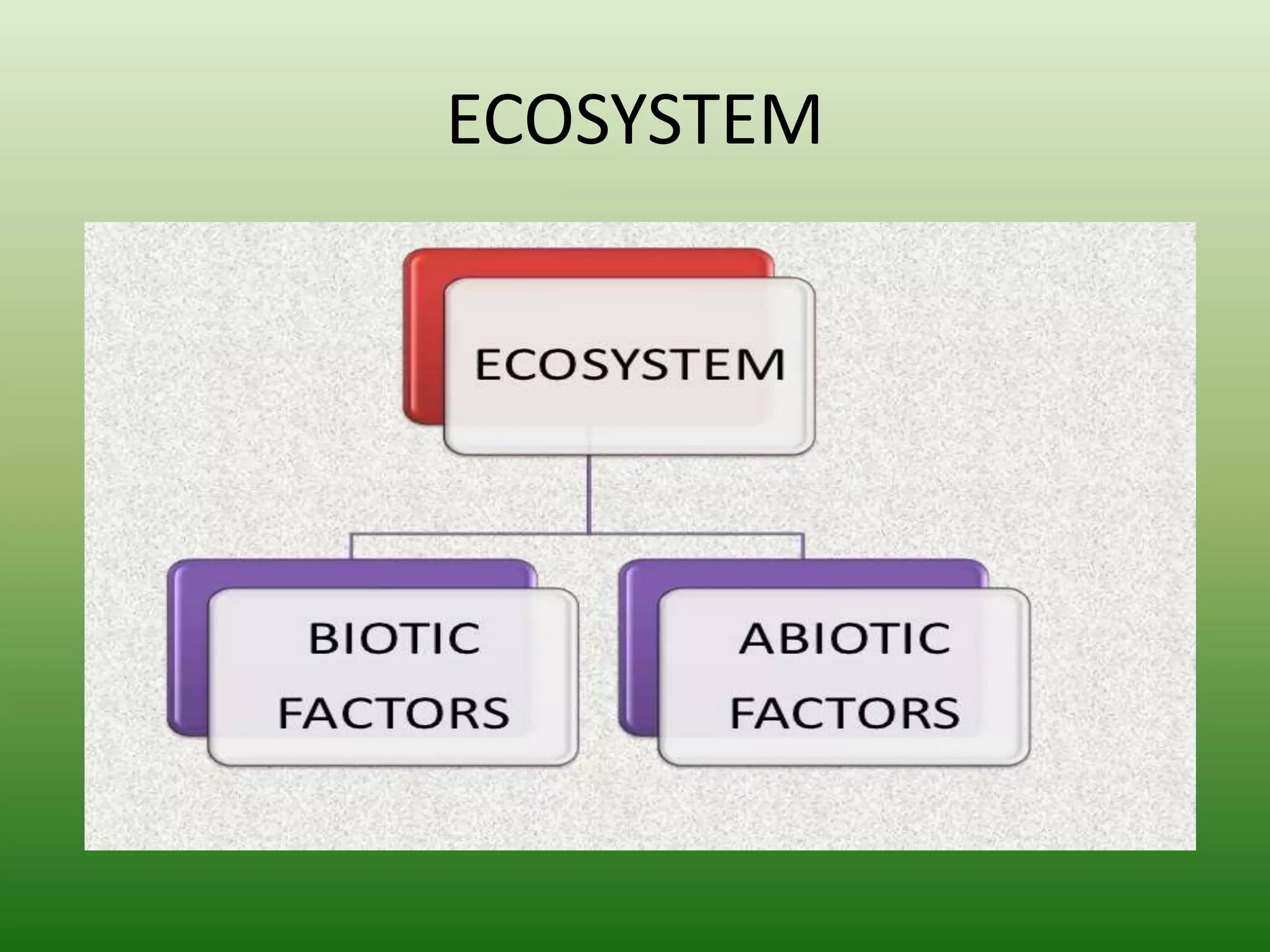Eco system power point presentation | PPTX