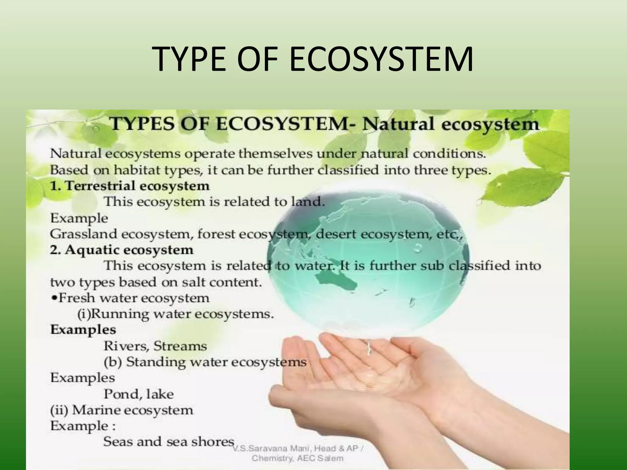 Eco System Power Point Presentation Pptx Science