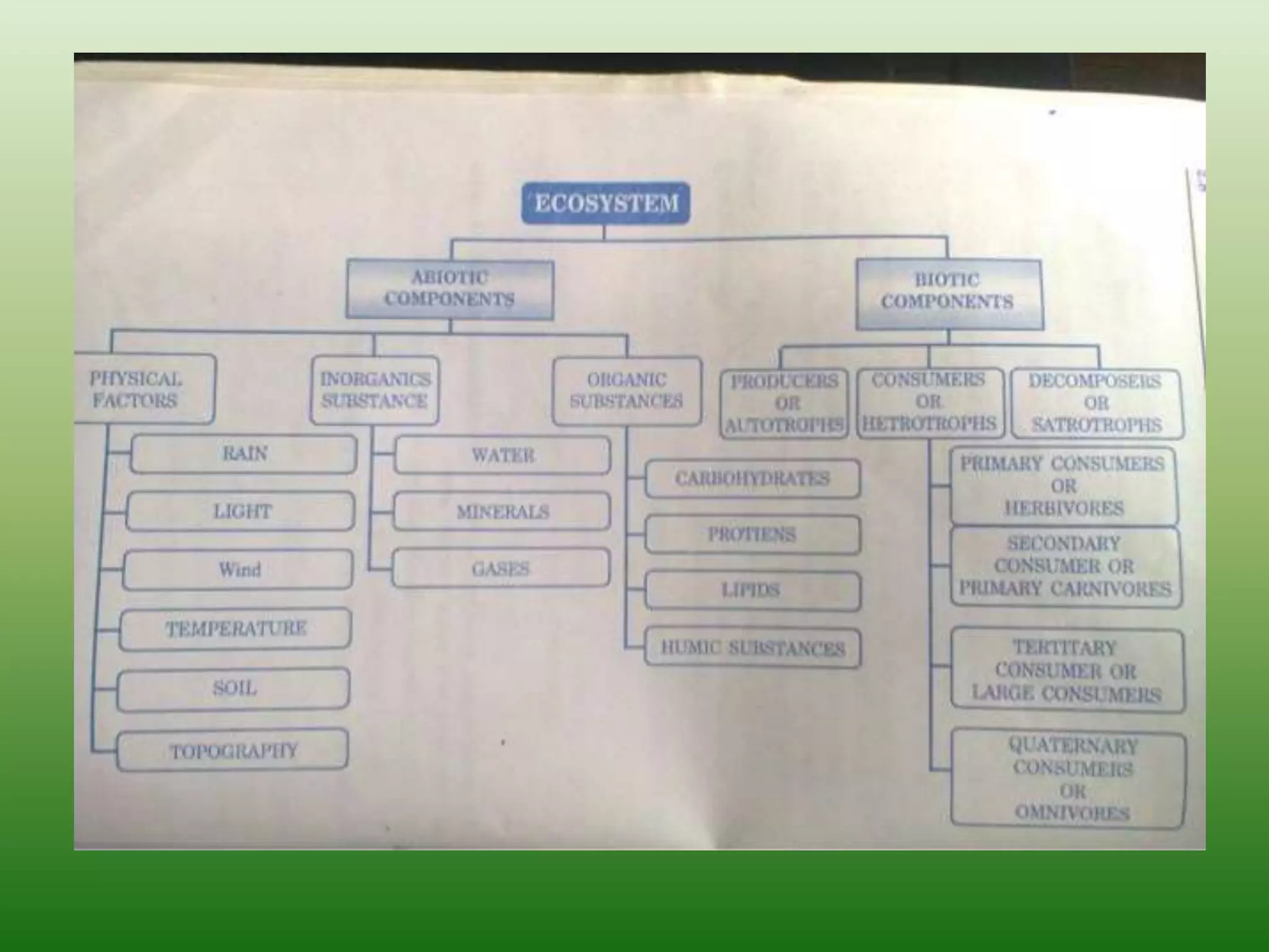 Eco system power point presentation | PPTX | Science