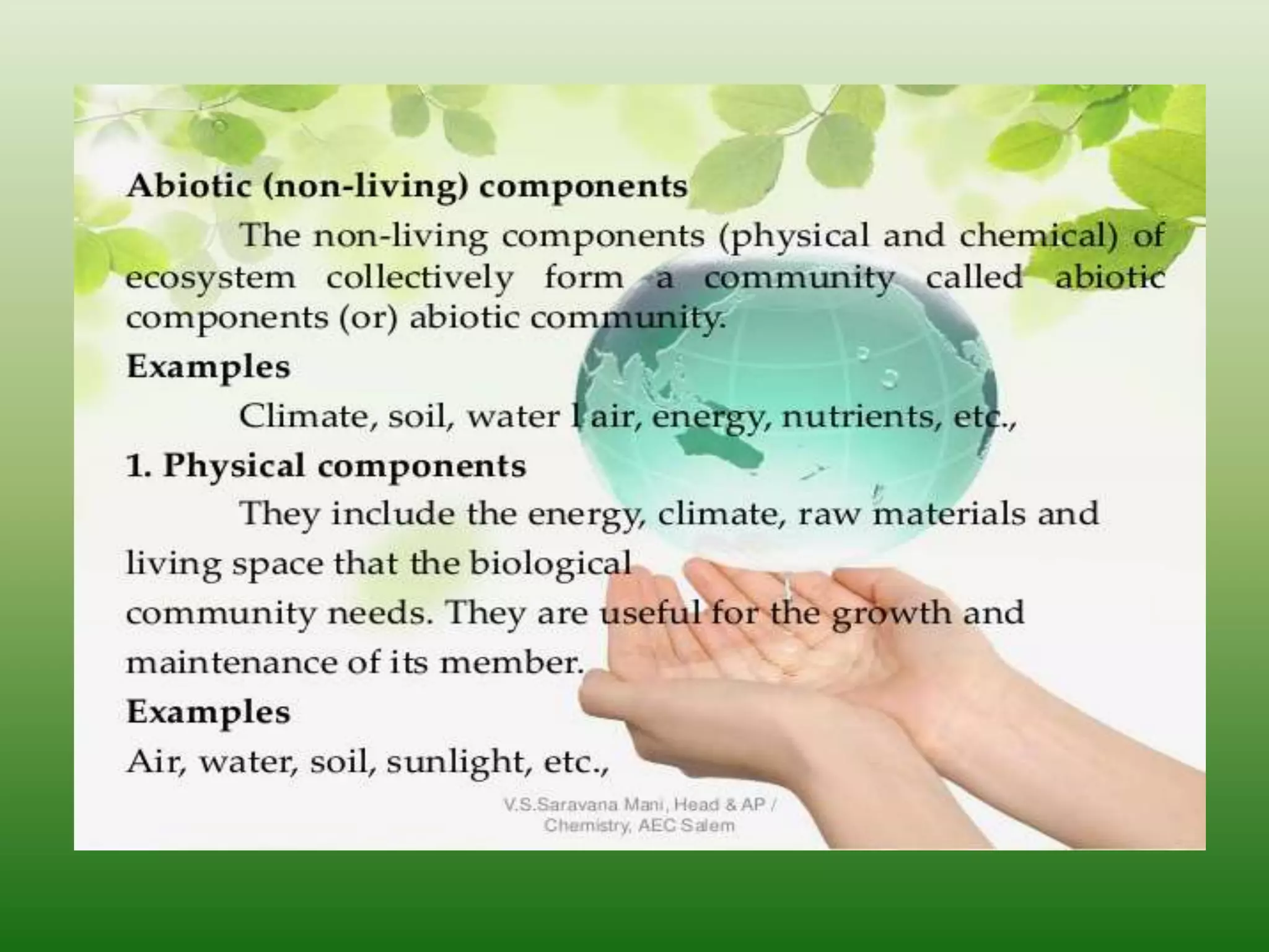 Eco system power point presentation | PPTX | Science