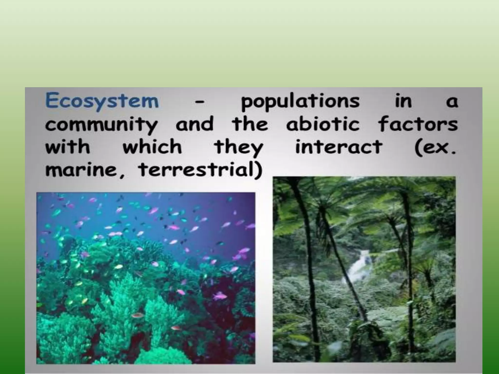 Eco System Power Point Presentation Pptx Science